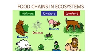 living organisms and ecosystems | PPT