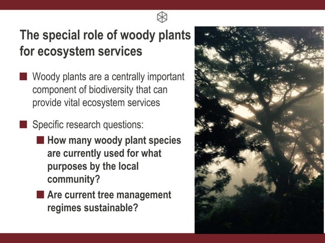 ecosystem services SW Ethiopia, Jannik, Jimma 2018 | PPT