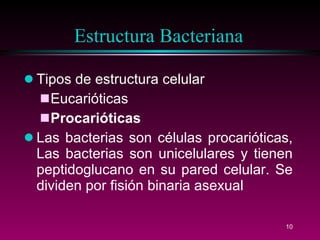 4 estructura bacterianaotoño08 | PPT