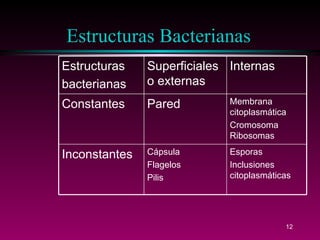 4 estructura bacterianaotoño08 | PPT