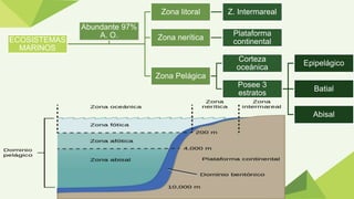 Estudio de los ecosistemas | PPTX