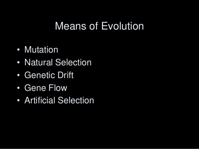 4 Evolutionary Processes