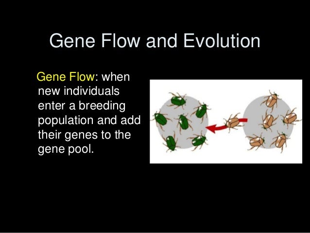 4 Evolutionary Processes