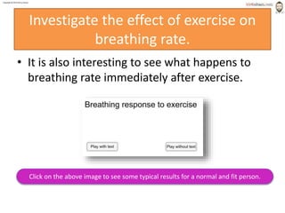 Exercise and Breathing | PPTX