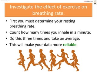 Exercise and Breathing | PPTX