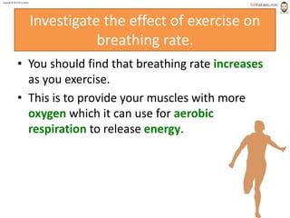 Exercise and Breathing | PPT