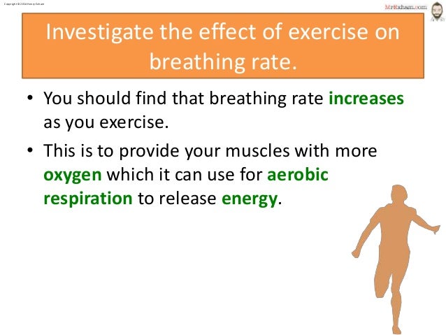 Exercise and Breathing