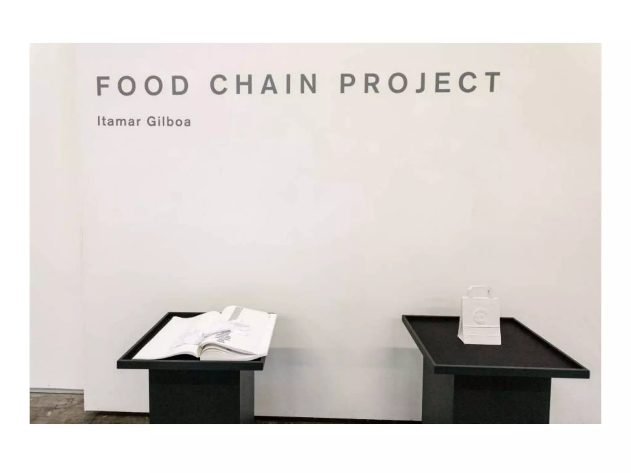 Presentation Food Chain Project 2015 | PPSX