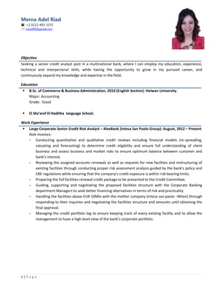 Merna Adel Riad | PDF