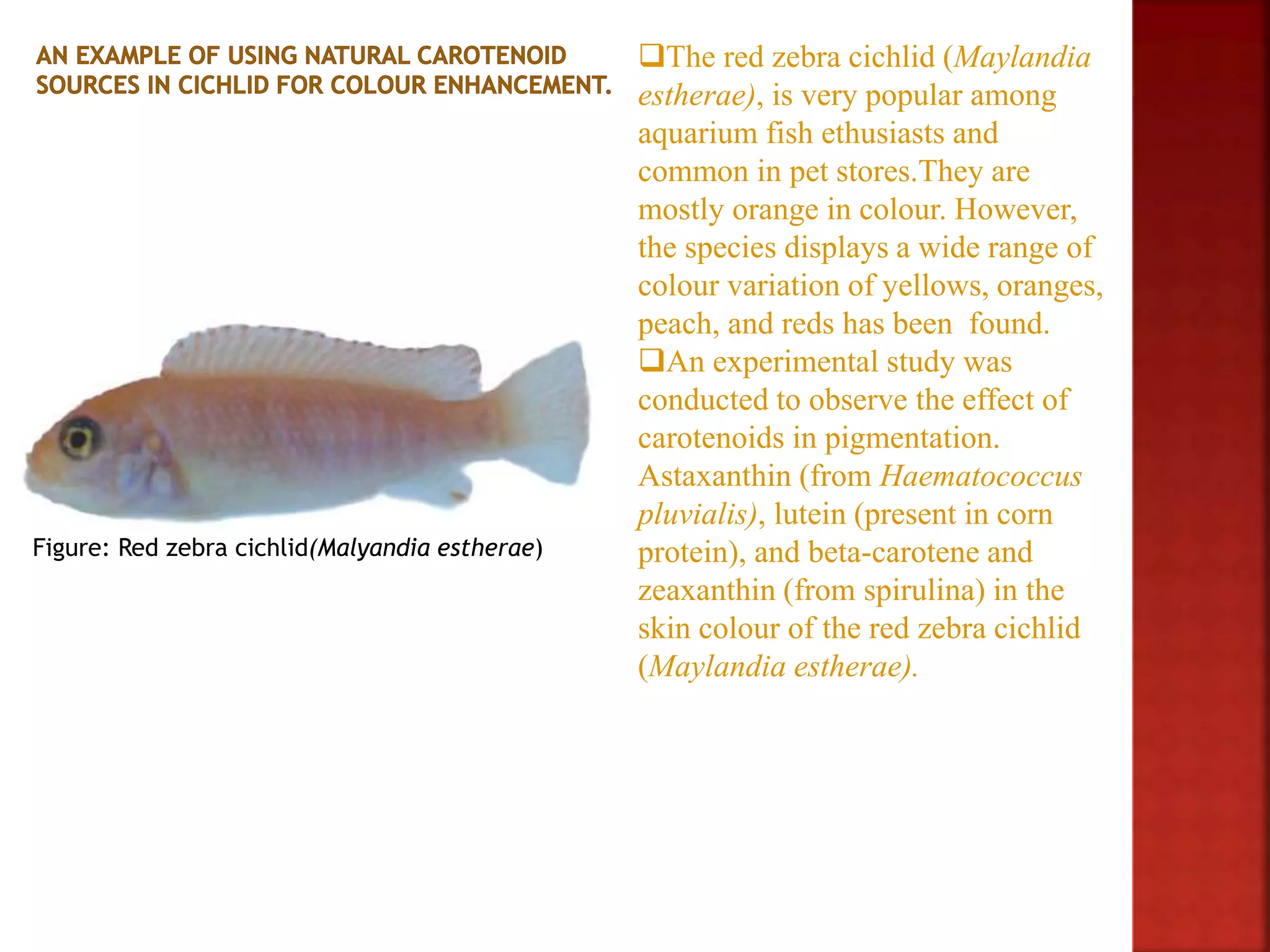 Role of carotaenoids in colour enhancement in ornamental | PPTX