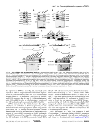 2011 - Cellular inhibitor of apoptosis protein-1 (cIAP1) can regulate ...