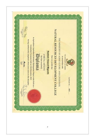 Miyanda nambales CV | PDF