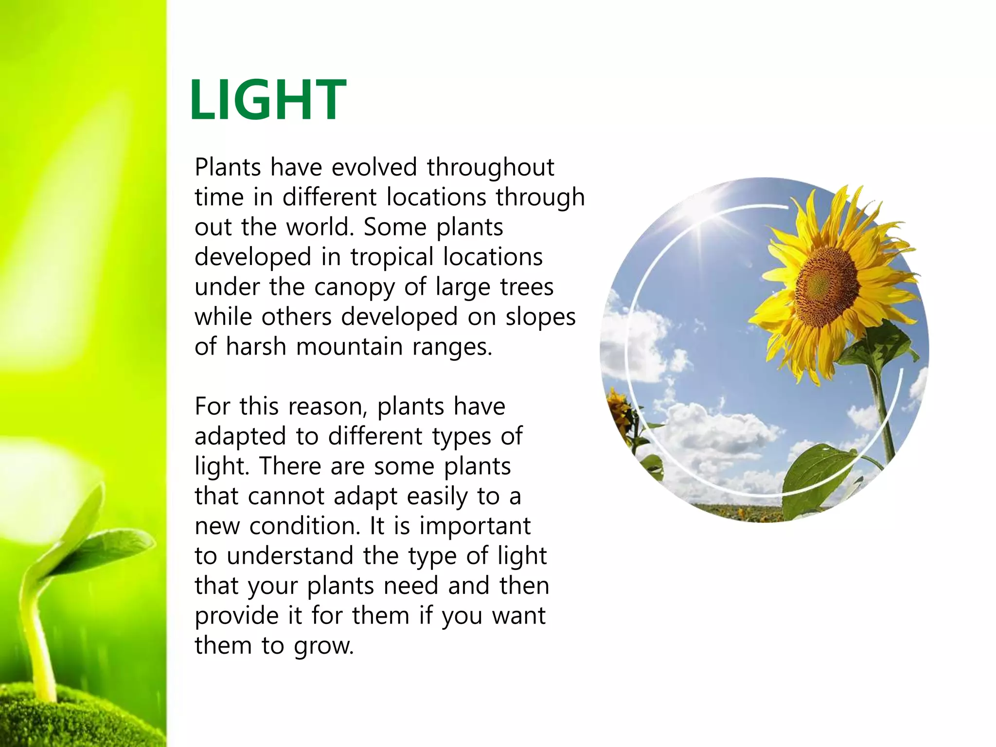 ECOgardener | 4 Factors That Affect Plant Growth | PPTX