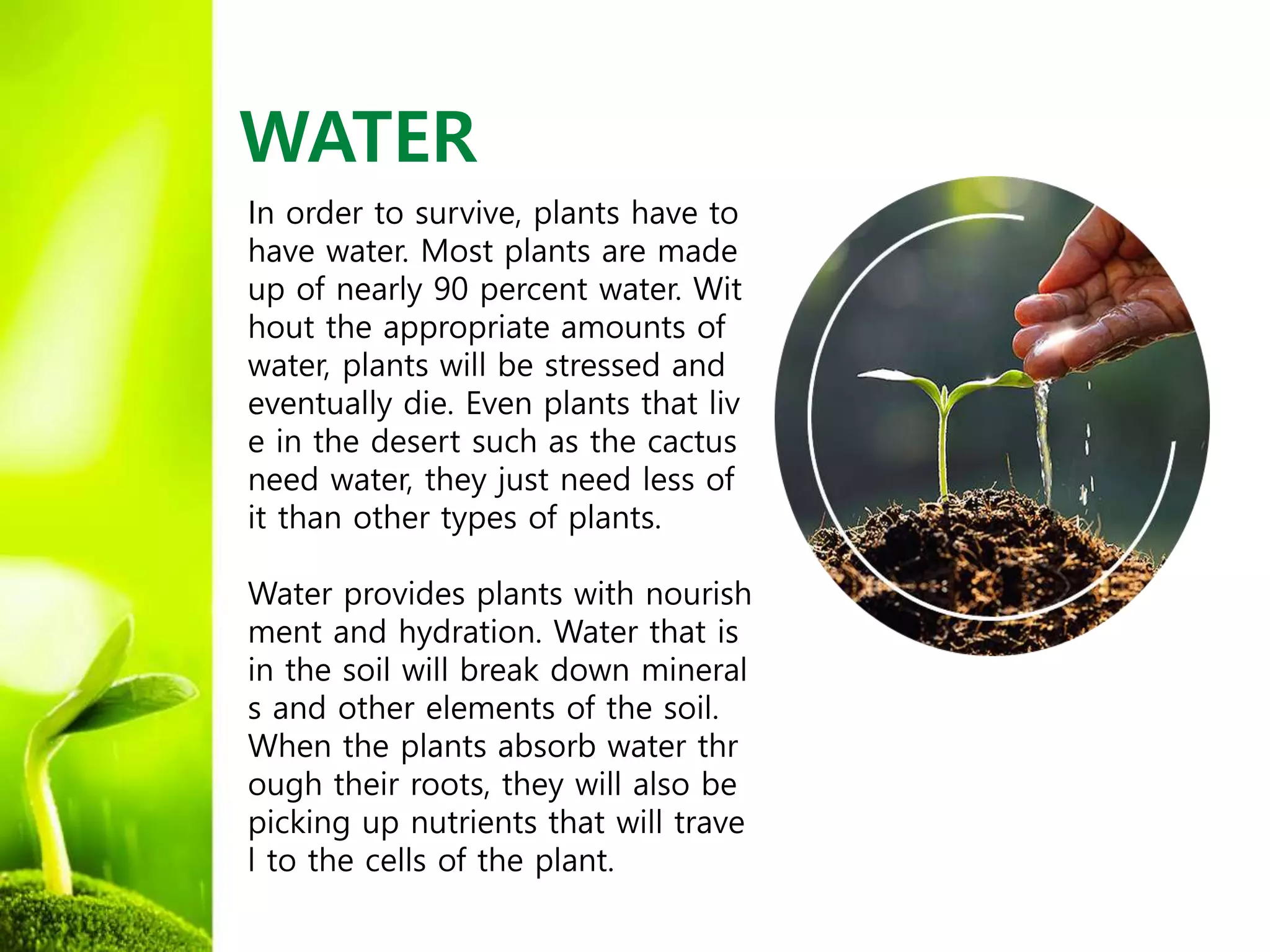 ECOgardener | 4 Factors That Affect Plant Growth | PPTX