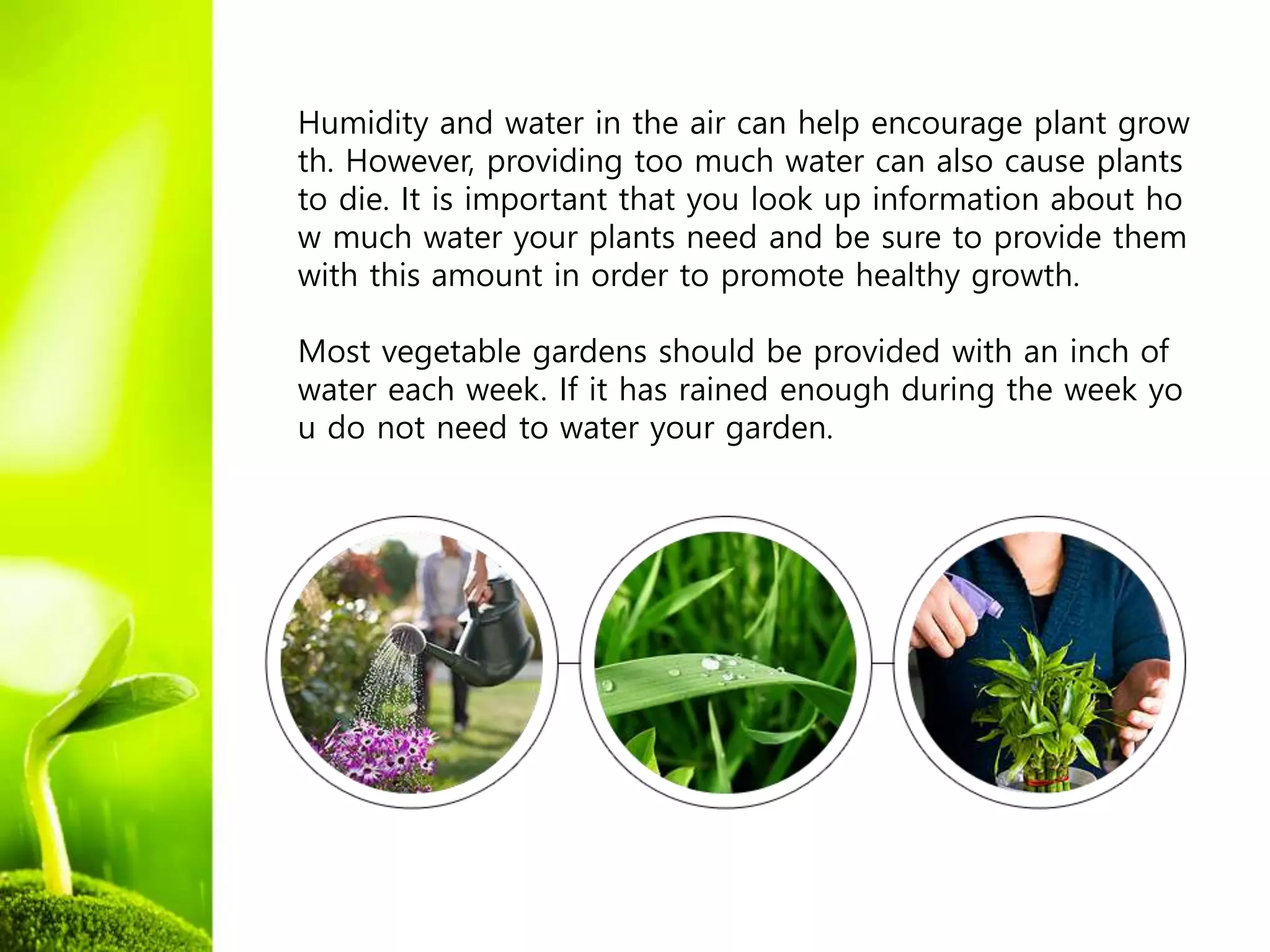 ECOgardener | 4 Factors That Affect Plant Growth | PPT