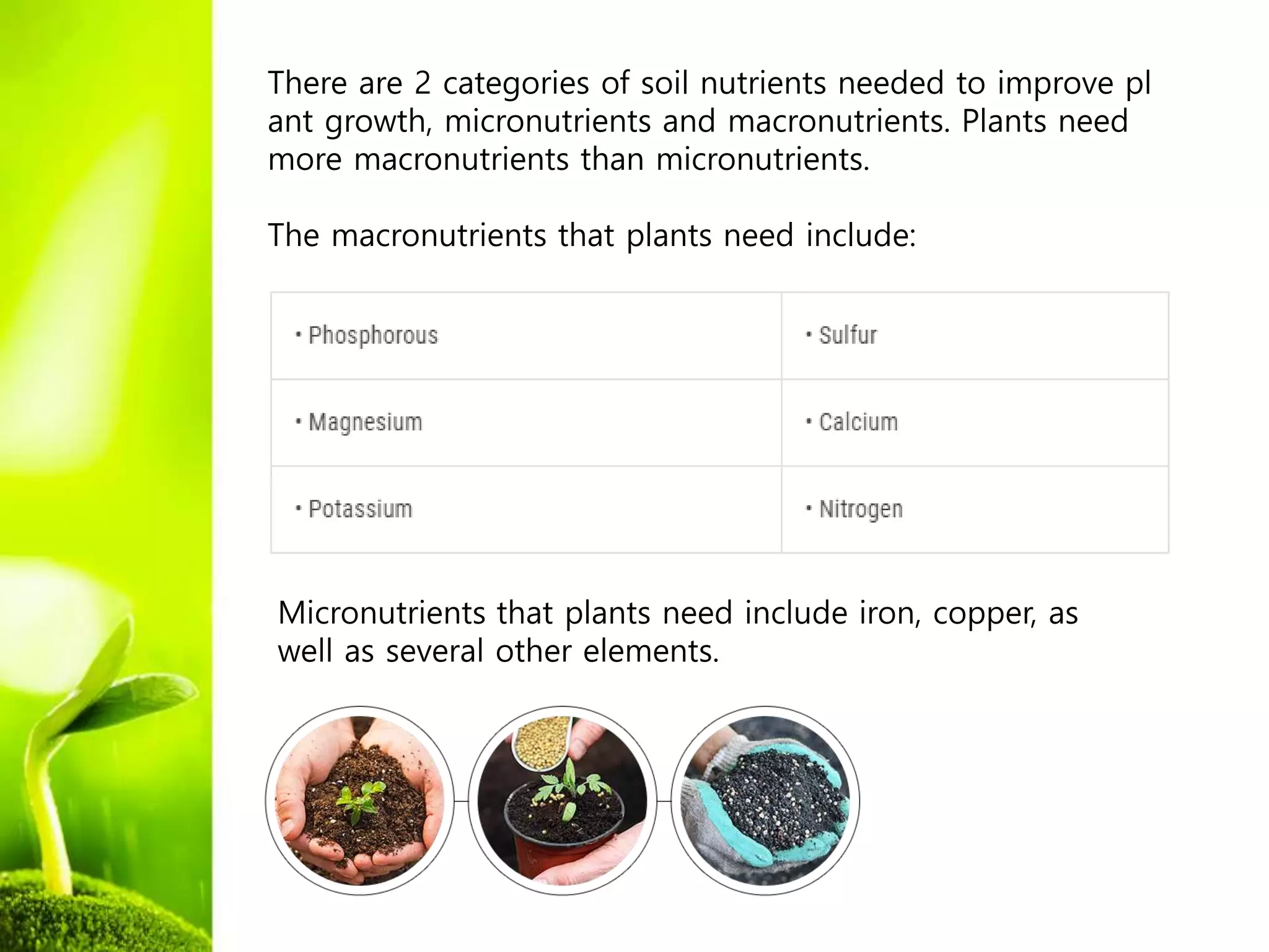 ECOgardener | 4 Factors That Affect Plant Growth | PPTX
