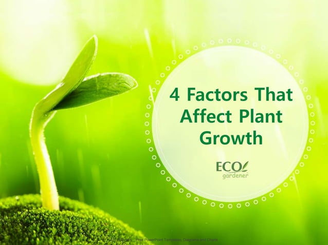 ECOgardener | 4 Factors That Affect Plant Growth | PPTX
