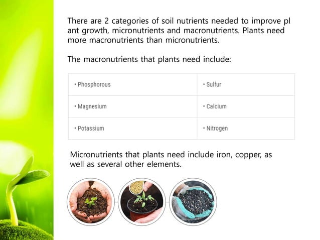 ECOgardener | 4 Factors That Affect Plant Growth | PPTX