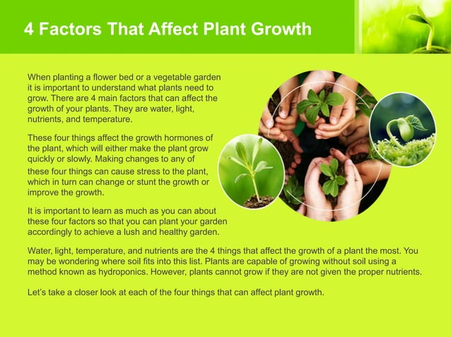 ECOgardener | 4 Factors That Affect Plant Growth | PPTX