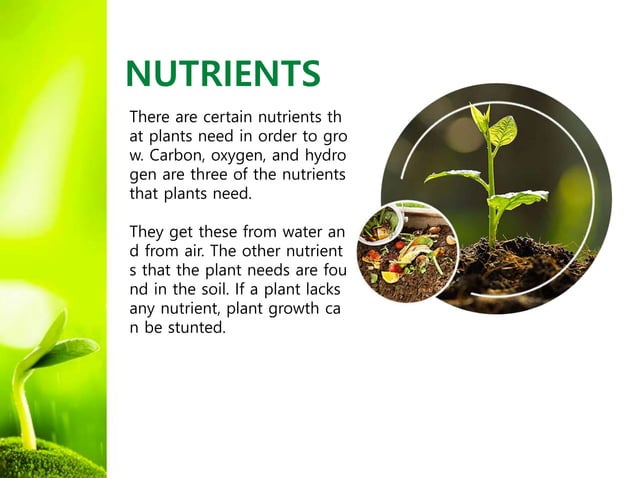 ECOgardener | 4 Factors That Affect Plant Growth | PPTX