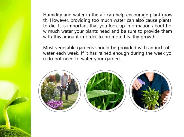 ECOgardener | 4 Factors That Affect Plant Growth | PPTX