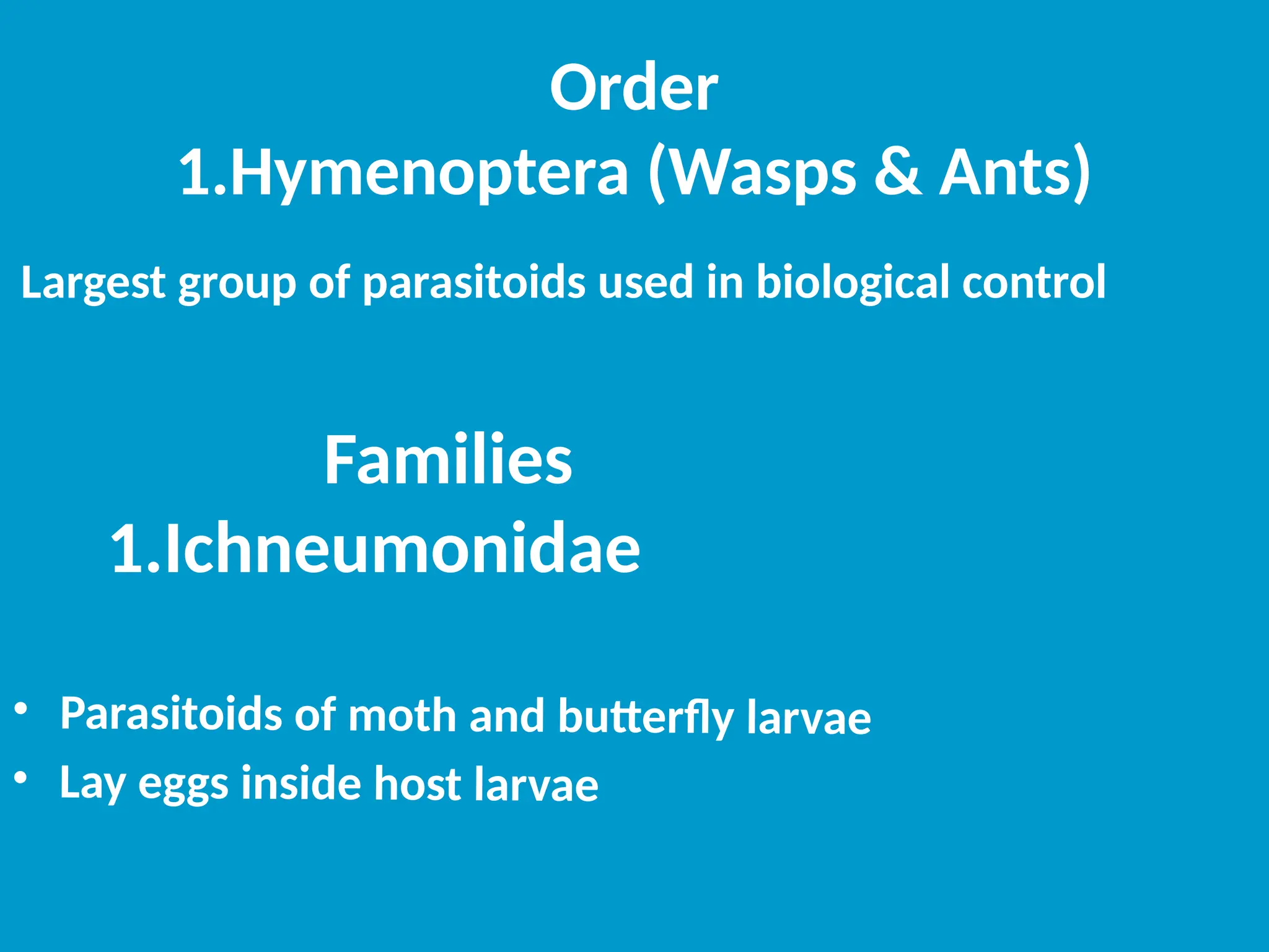 4 Families of insect order_Biological_Control.pptx