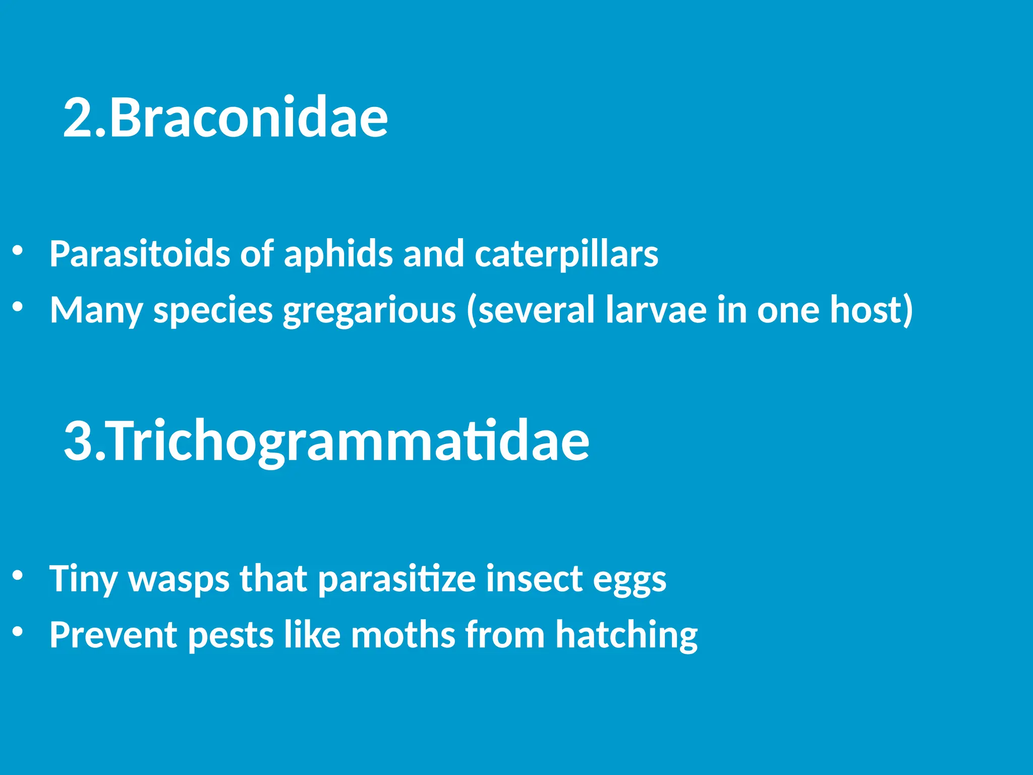 4 Families of insect order_Biological_Control.pptx