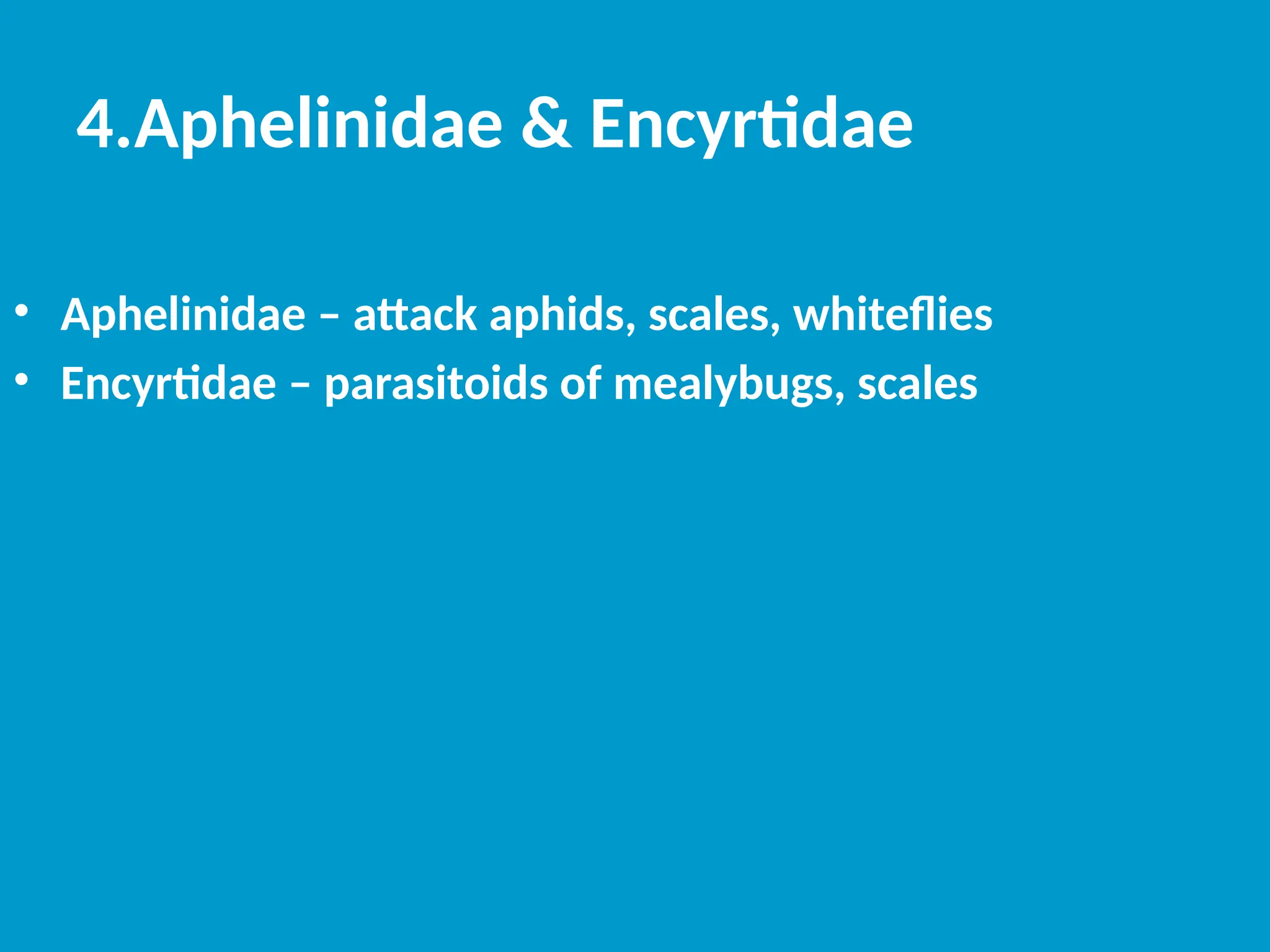 4 Families of insect order_Biological_Control.pptx