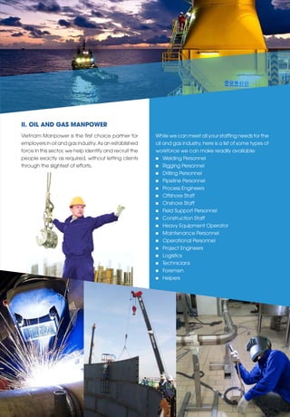 Vietnam-Manpower-Profile-2016 | PDF