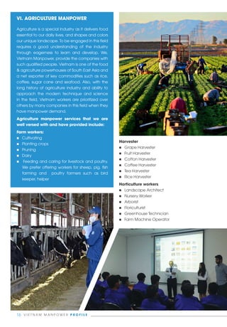 Vietnam-Manpower-Profile-2016 | PDF