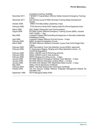 PLB Format CV Updated 16-03-2015 | PDF