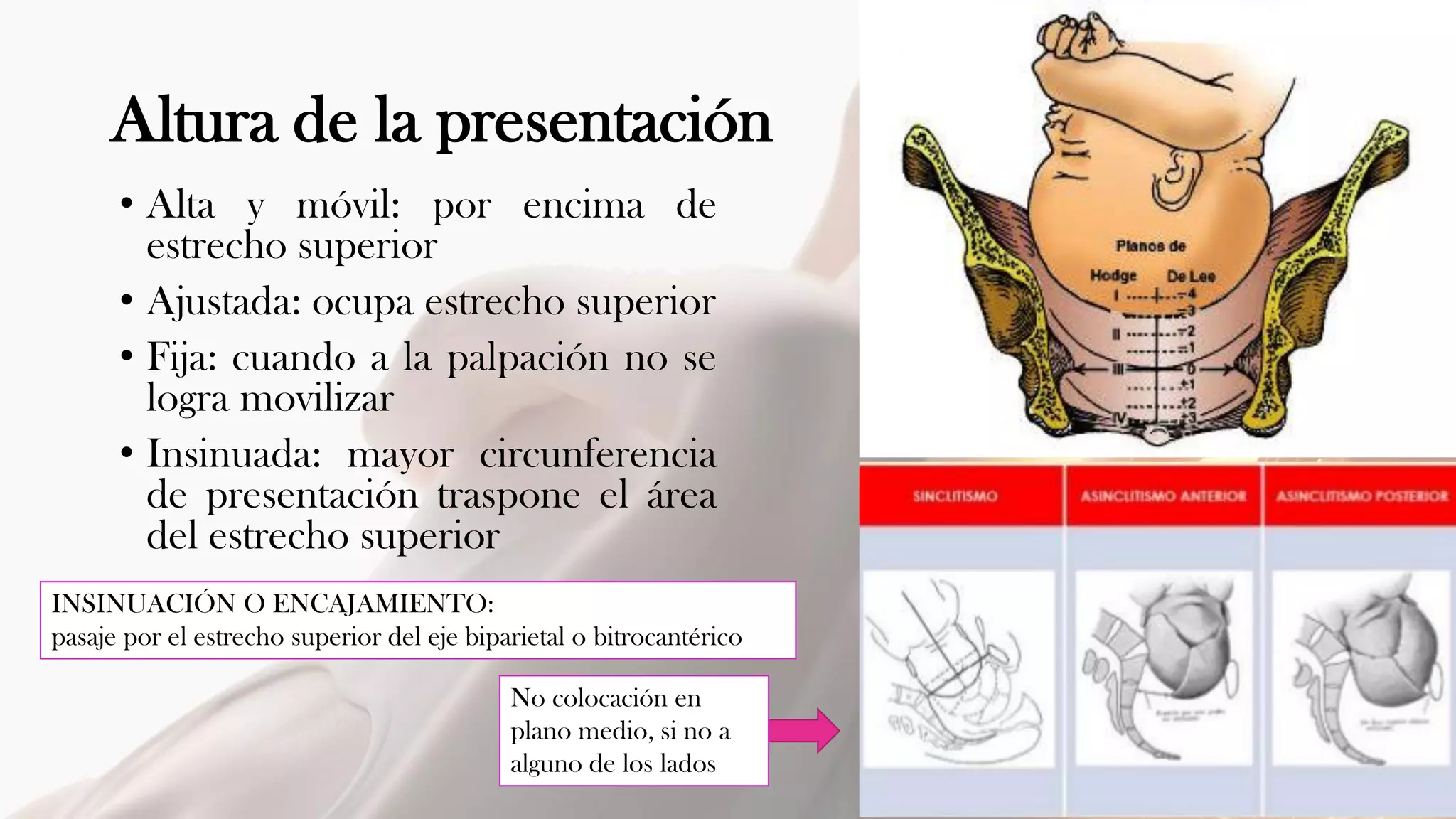 Edad de embarazo, estudio de la pelvis. Pelvimetría | PDF | Pregnancy ...