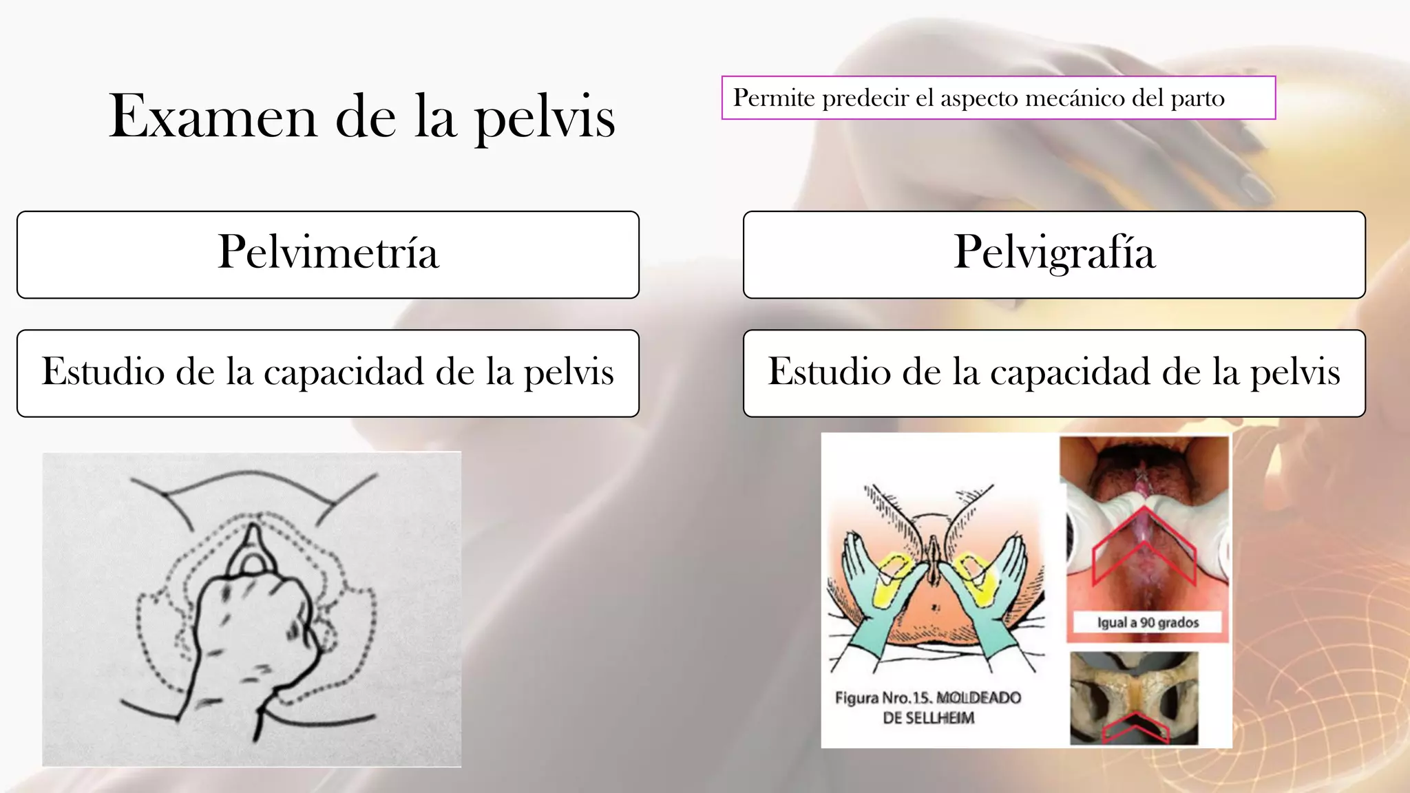 Edad de embarazo, estudio de la pelvis. Pelvimetría | PDF | Pregnancy ...