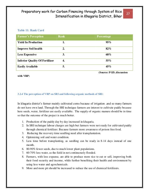 field-research-report