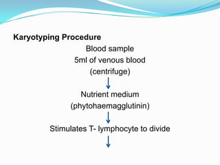 introduction, terms, mendelian law, chromosome,karyotyping-Dr.Gourav | PPT