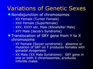 4 Female Male Chromosomal Intersex | PPT