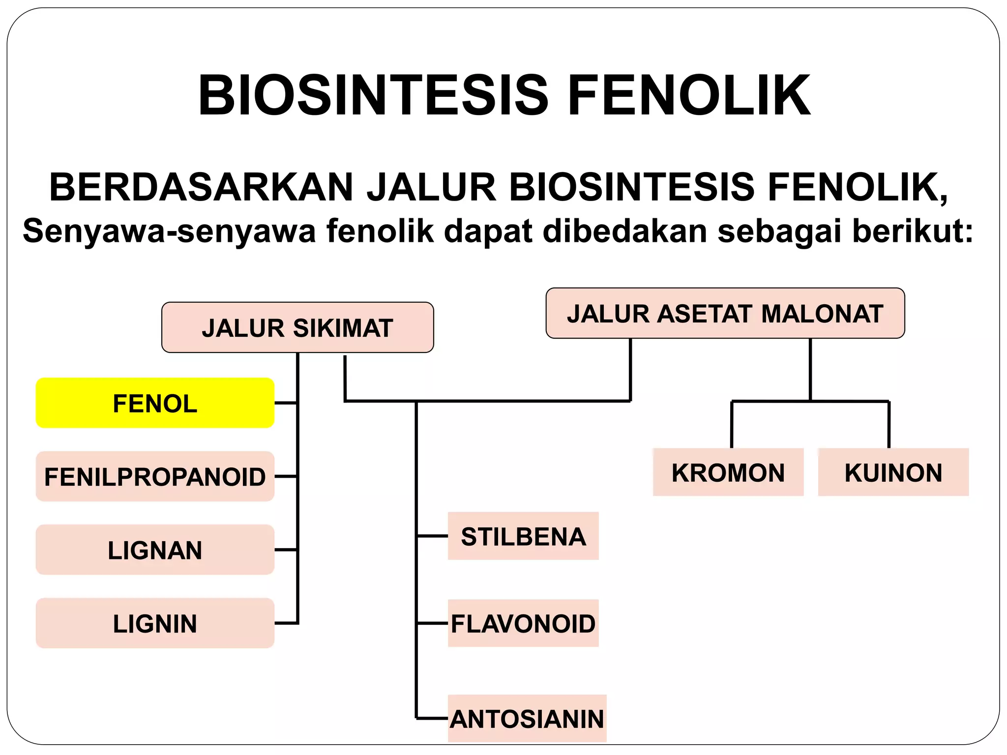 4 FENOLIK.ppt