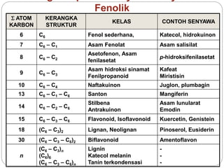 4 FENOLIK.ppt