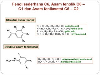4 FENOLIK.ppt