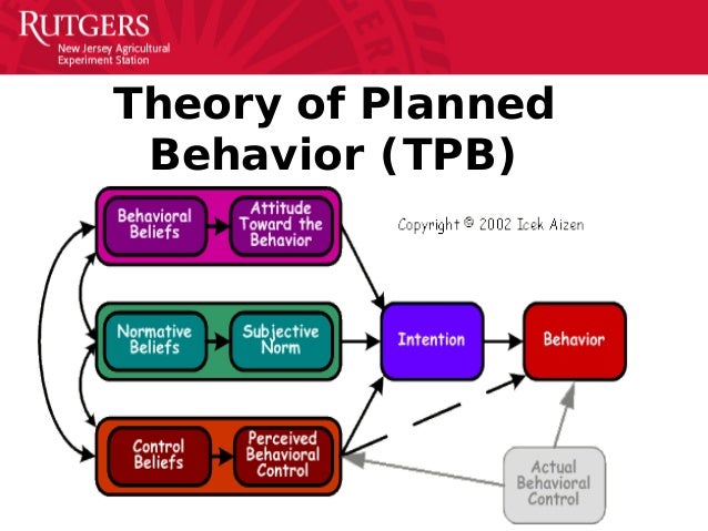 Personal Health & Finance Quiz Presentation-FERMA-03-16