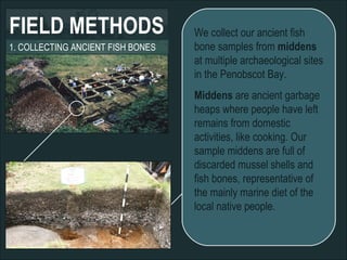 4 field methods | PPT