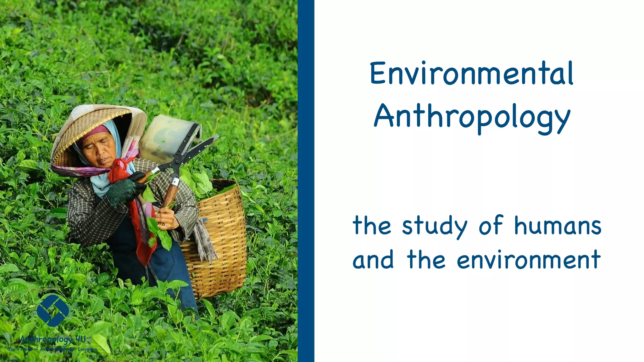 What are the 4 fields of Anthropology? | PDF | Science