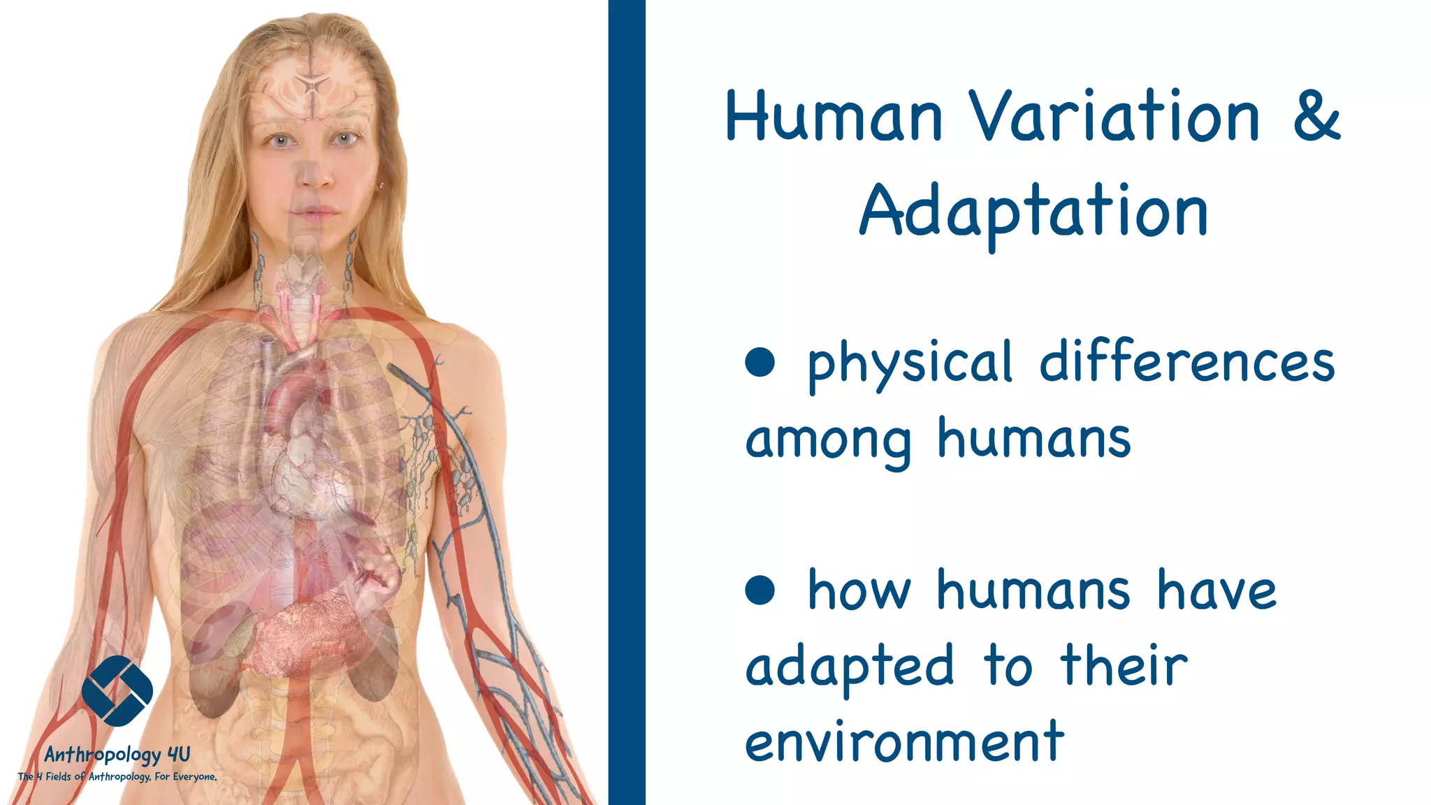 What are the 4 fields of Anthropology? | PDF