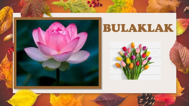 mga salitang nagsisimula sa titik Bb | PPTX