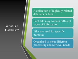 File Processing System and Database Systems | PPTX
