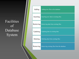 File Processing System and Database Systems | PPTX