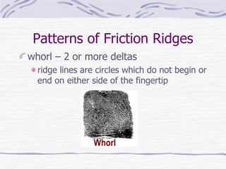 Fingerprinting | PPT