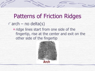 Fingerprinting | PPT