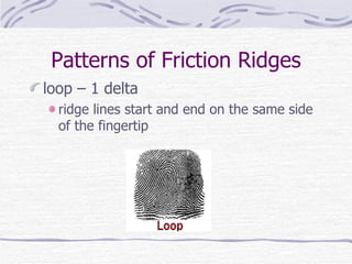 Fingerprinting | PPT