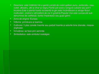 4florideprimavara | PPT